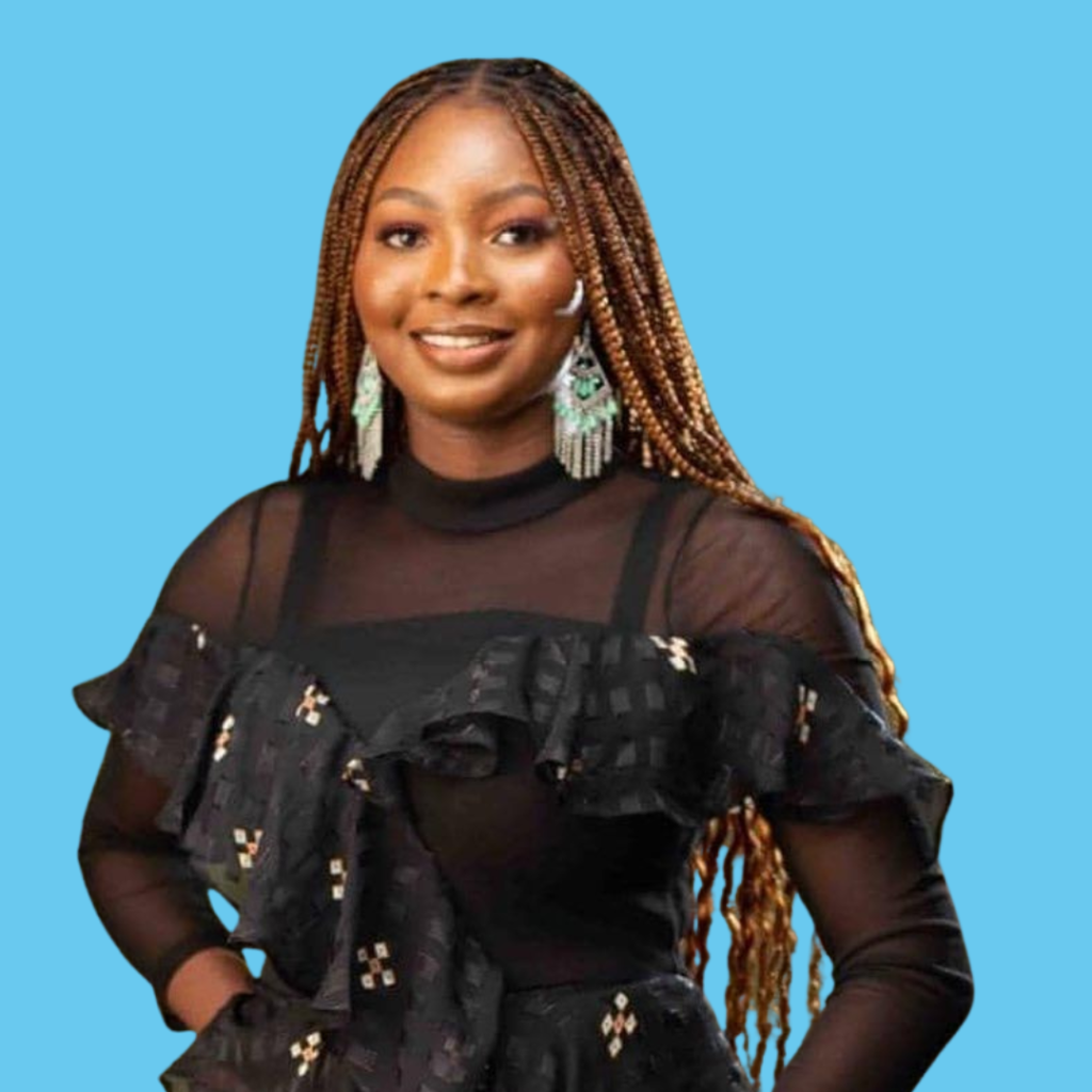 Lagos Model United Nations